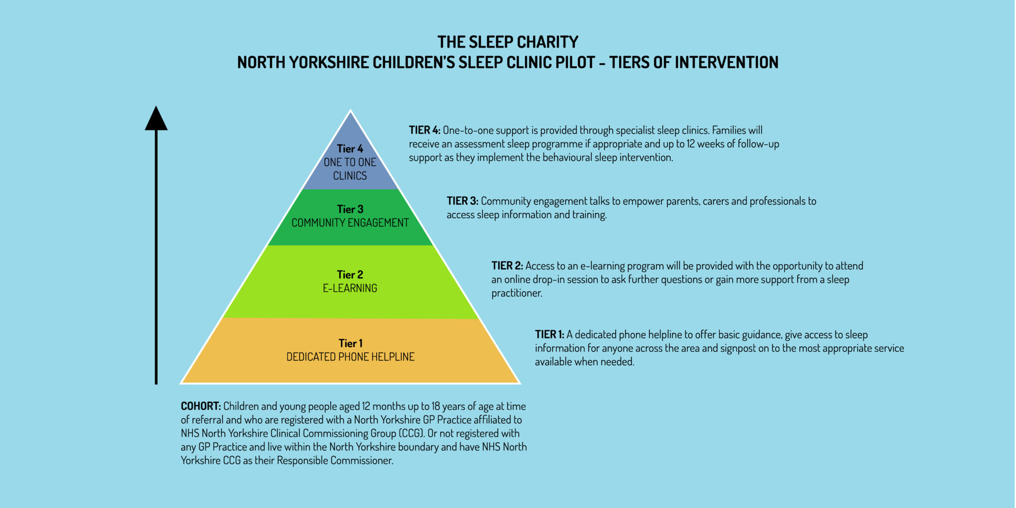 Pyramid-01 (002) - NHS North Yorkshire CCG