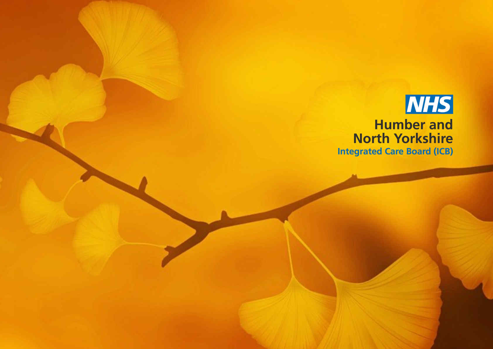 ICB and ICS - NHS North Yorkshire CCG